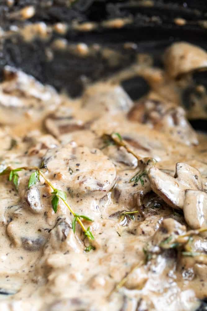 Creamy Mushroom Sauce Recipe with Thyme | Erhardts Eat